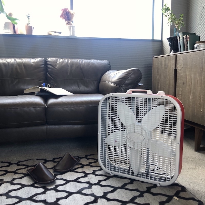 DULTON ONLINE SHOP | POPULAR ITEM: