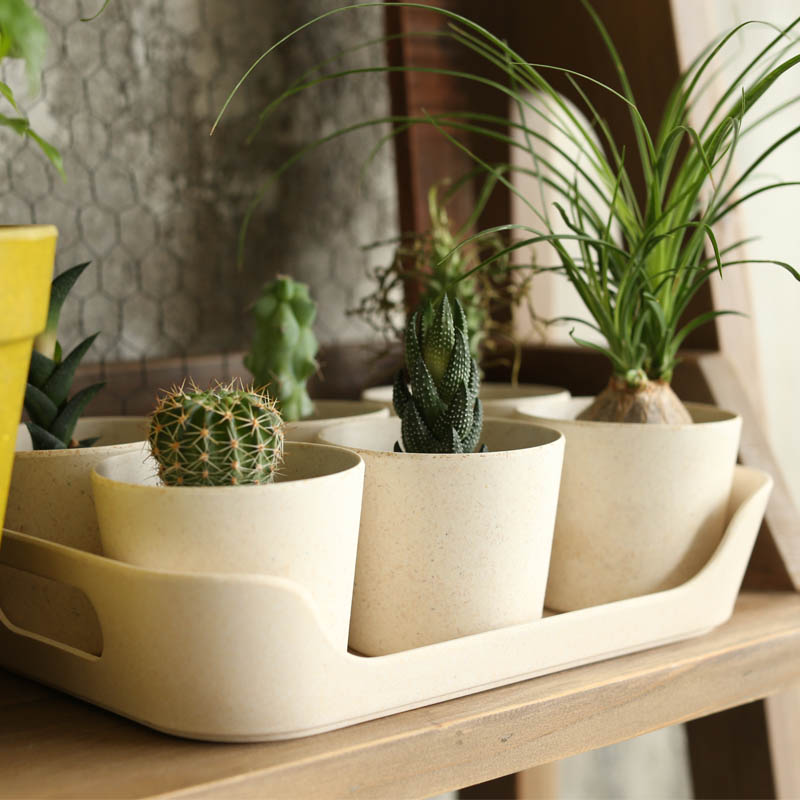 "Botany"pot | DULTON ONLINE SHOP