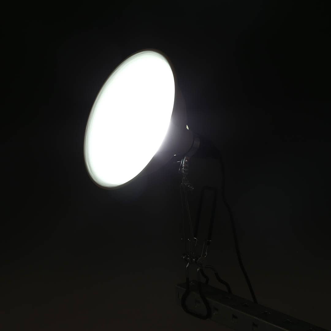 DULTON ONLINE SHOP | ALUMINUM CLIP LAMP M IVORY(M IVORY): ファニチャー